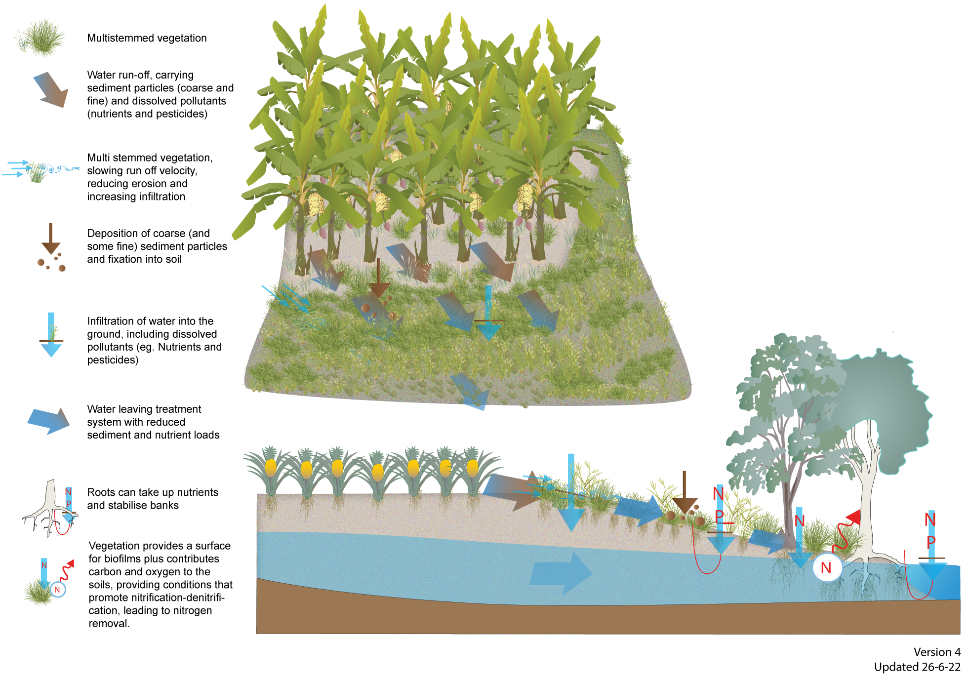 Vegetated Buffers And Swales Planning And Design Department Of